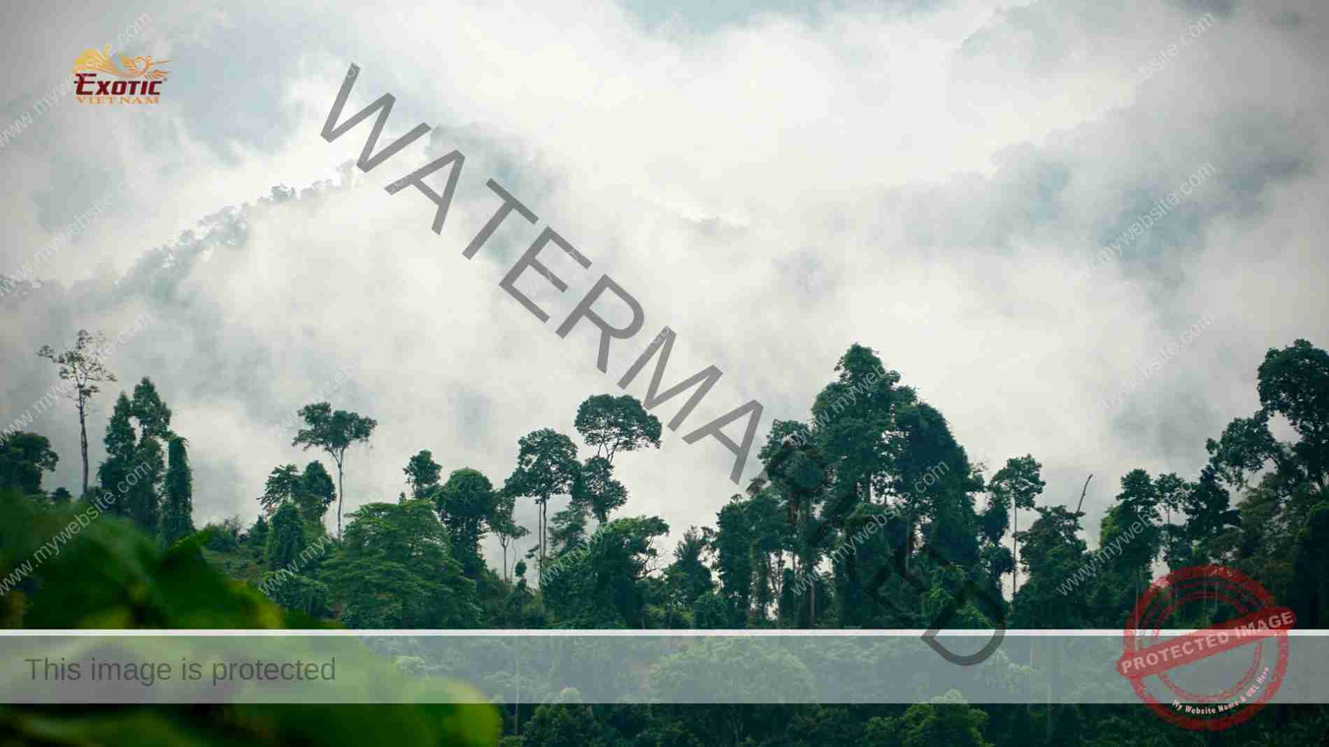 Team building Nghệ An – Hành trình về Pù Mát