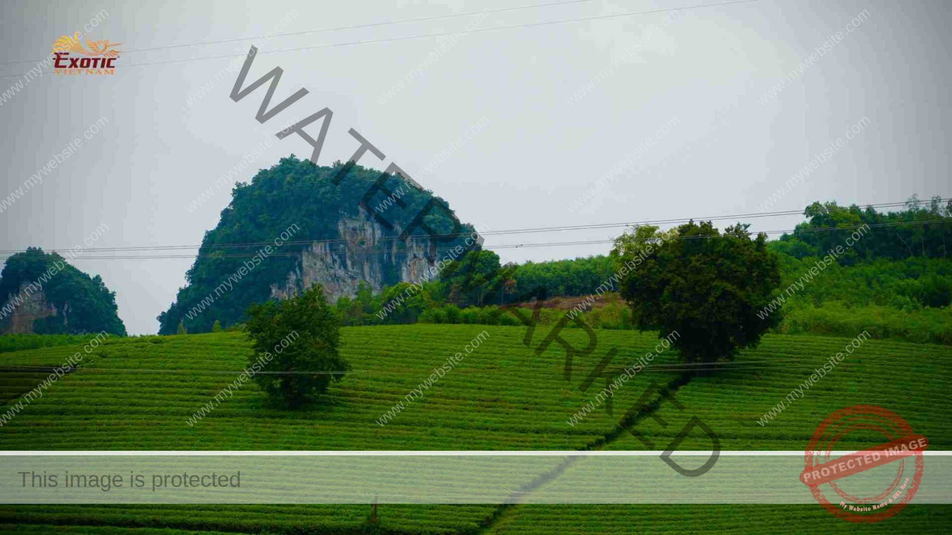 Team building tại Việt Nam - Hành trình khám phá miền núi